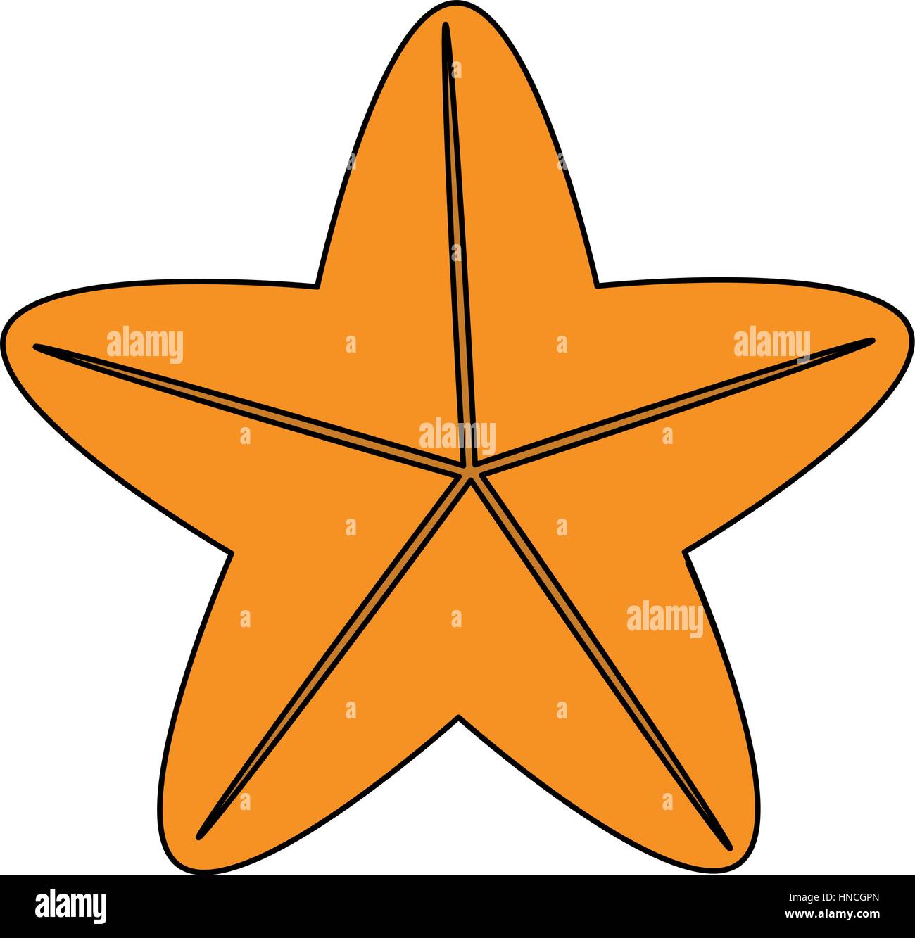 sea star icon over white background. vector illustration Stock Vector ...