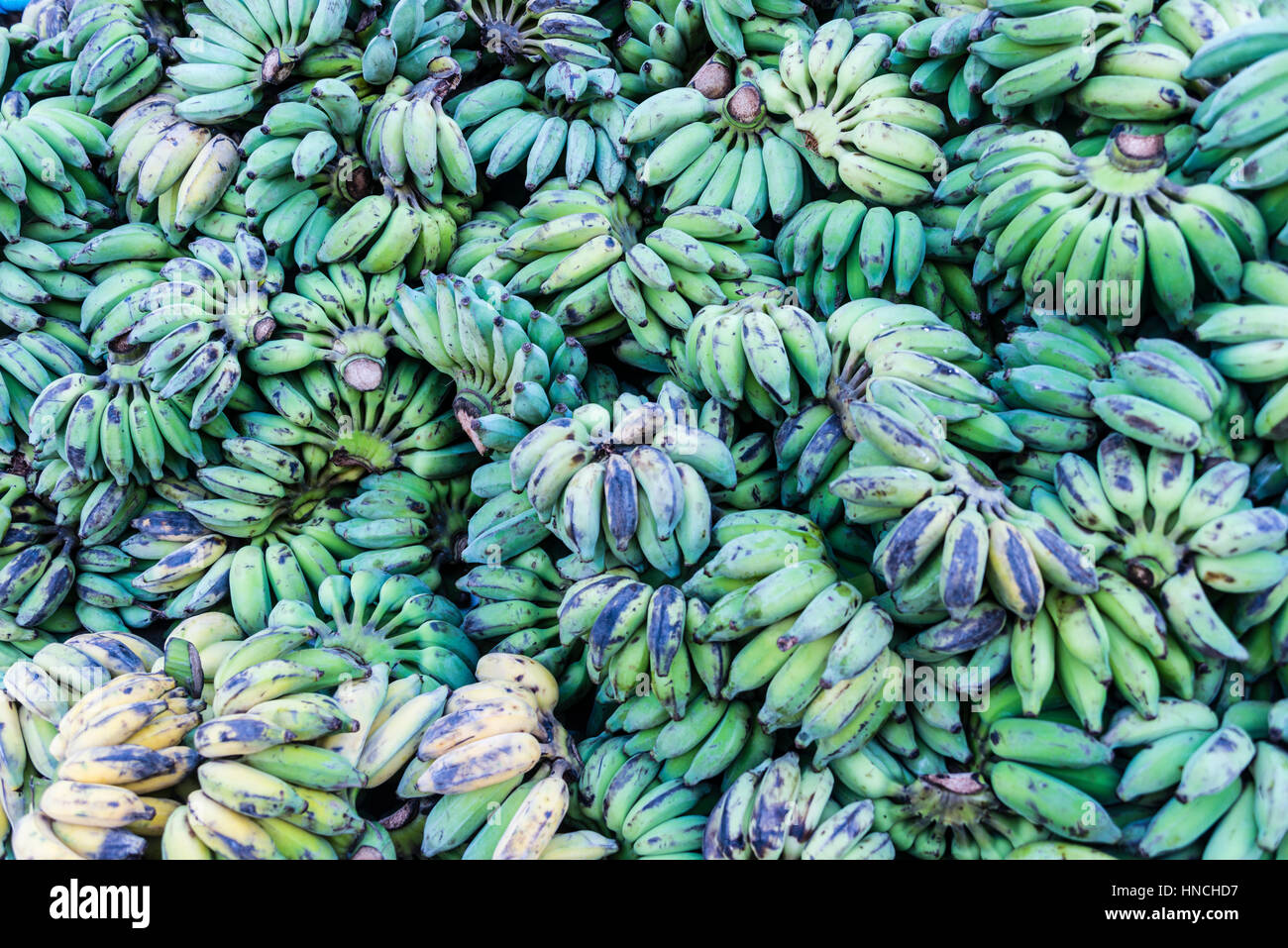 Myanmar green hi-res stock photography and images - Alamy