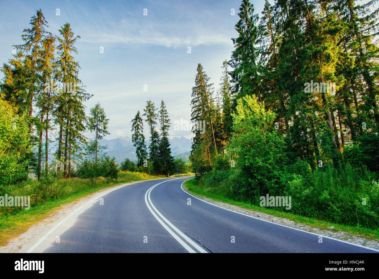 The road leads through the woods to the mountains Stock Photo - Alamy