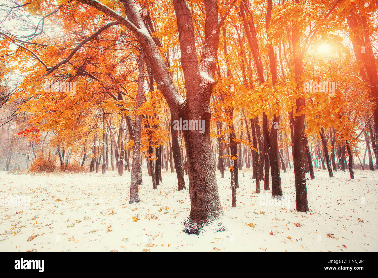 The First Snow High Resolution Stock Photography and Images - Alamy