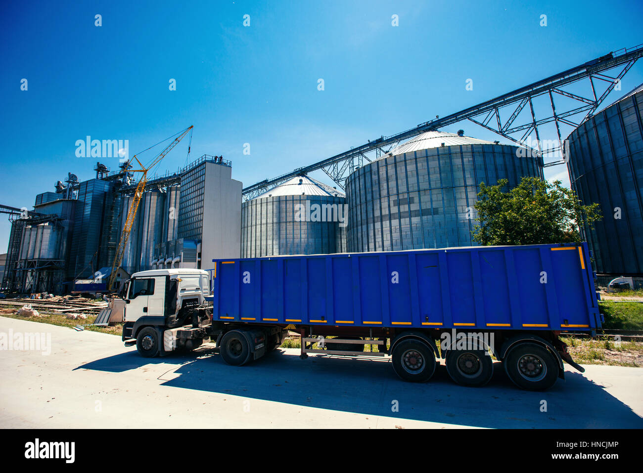 Set of storage tanks cultivated agricultural crops processing pl Stock ...