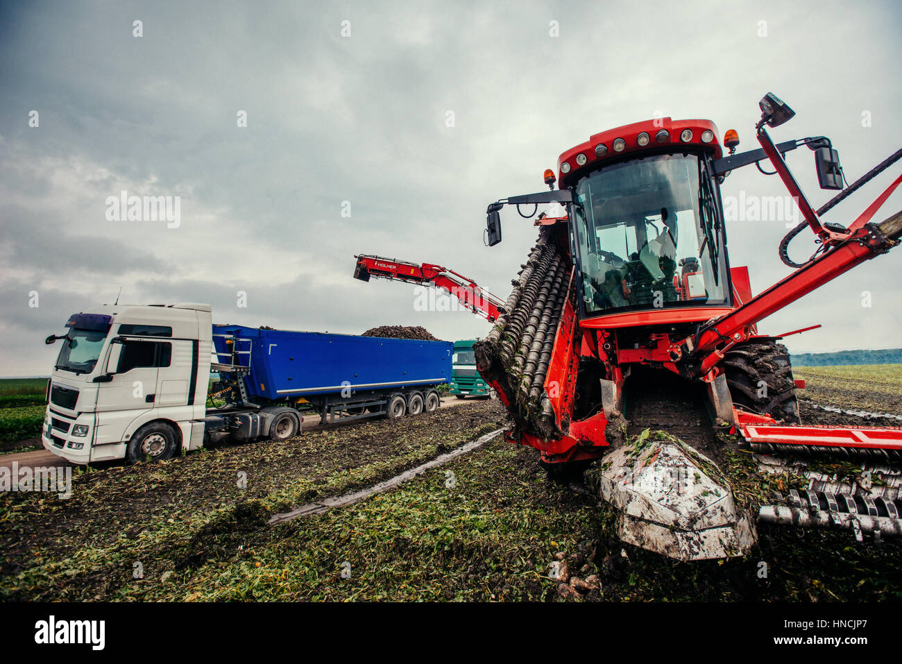 Potato harvester truck hi-res stock photography and images - Alamy