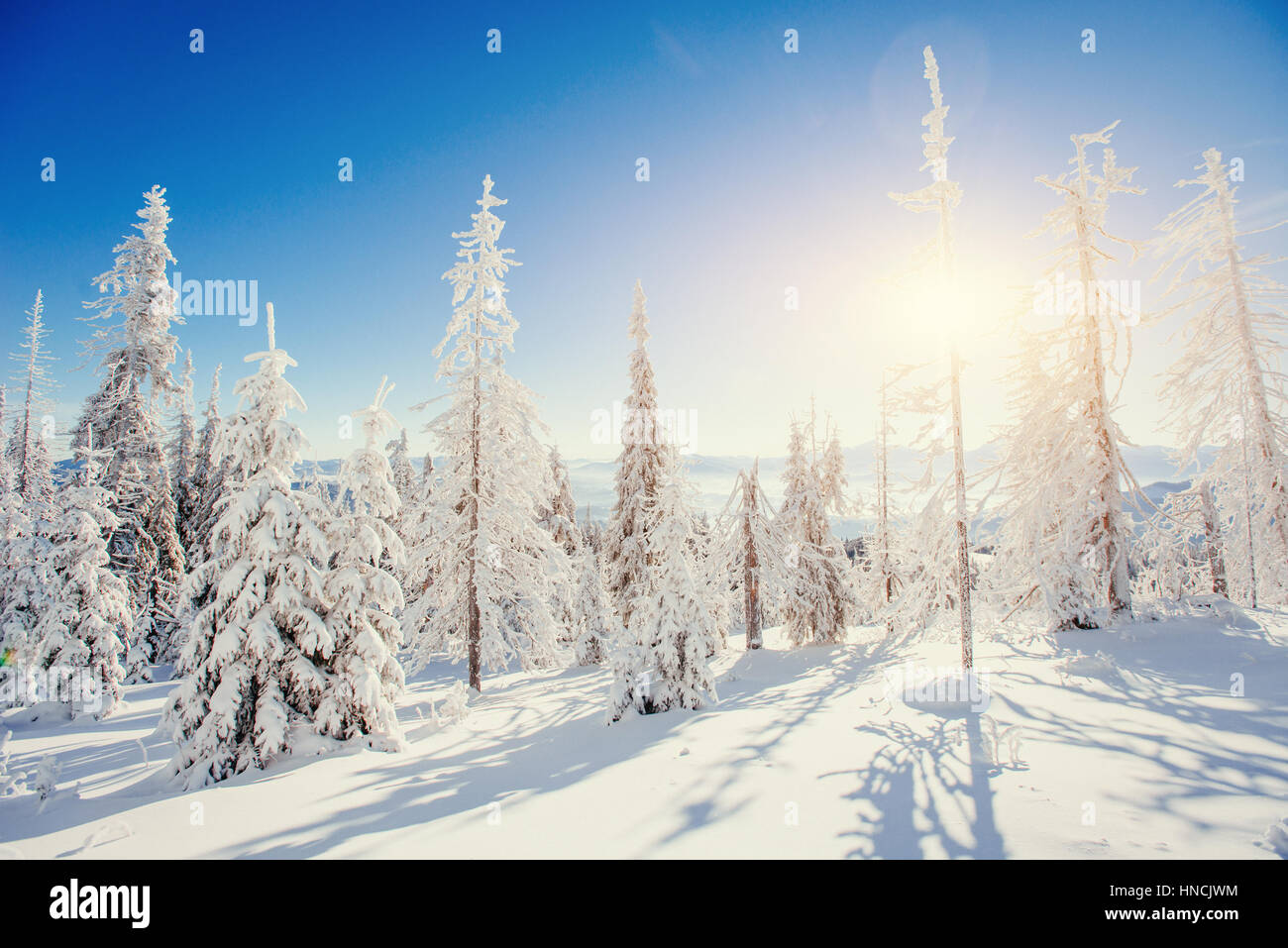 Fantastic winter landscape in the mountains of Ukraine Stock Photo - Alamy