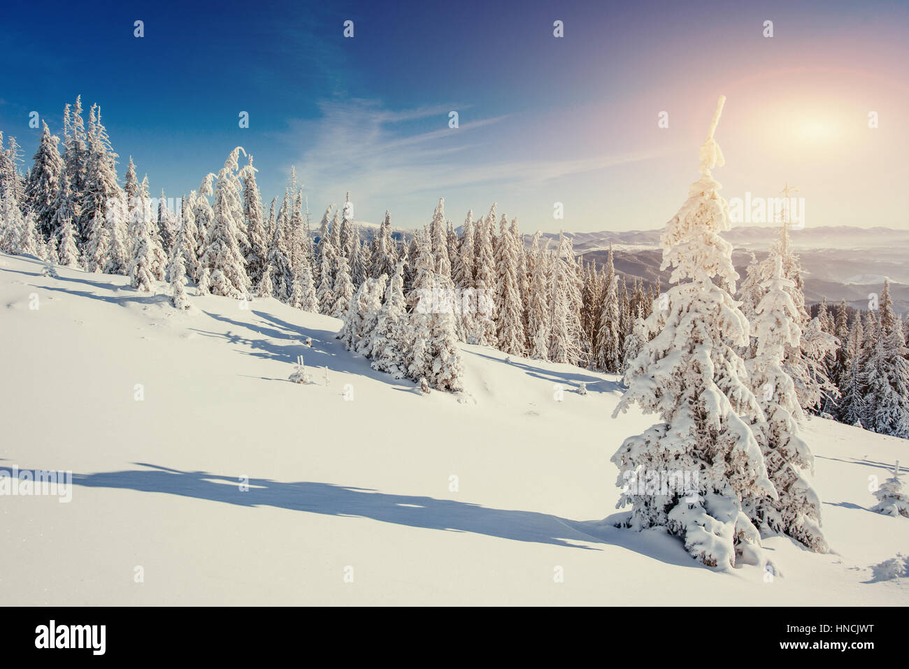 Fantastic winter landscape in the mountains of Ukraine Stock Photo - Alamy