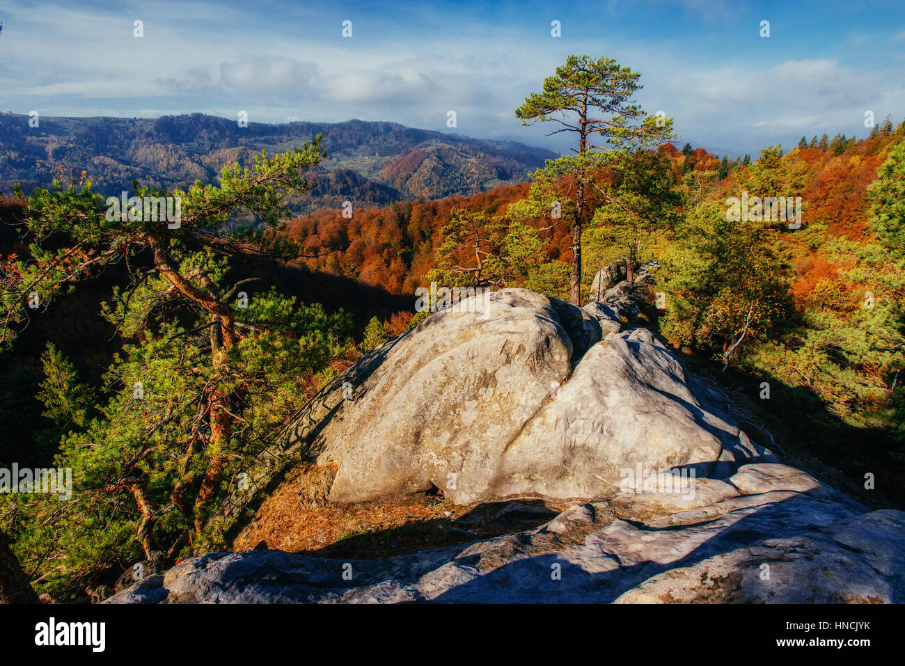 rock massif in the Carpathians Stock Photo - Alamy