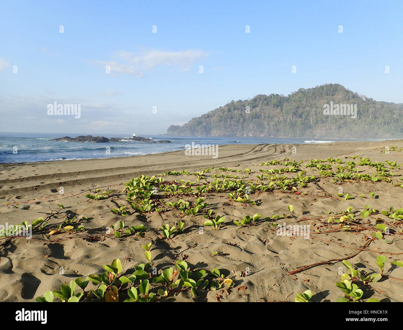 Indonesia, East Java, Banyuwangi, Rajegwesi beach Stock Photo - Alamy