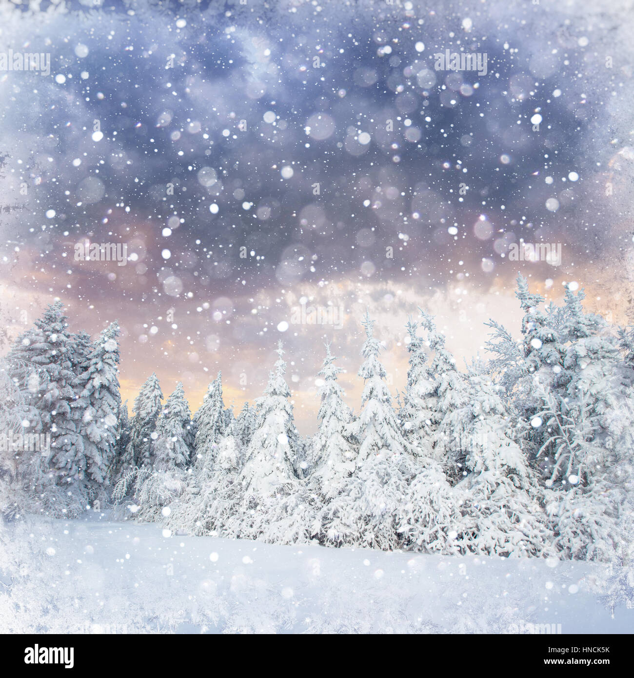 magical winter snow covered tree, background with some soft high Stock ...