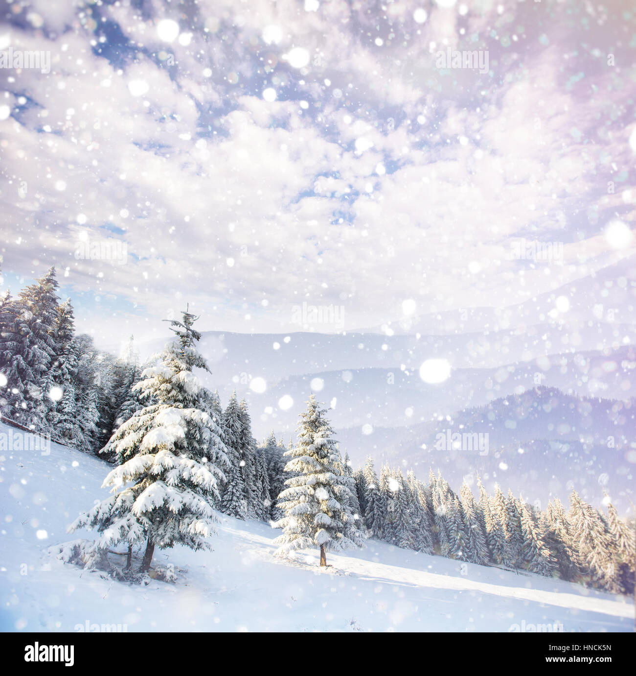 magical winter snow covered tree, background with some soft high Stock ...