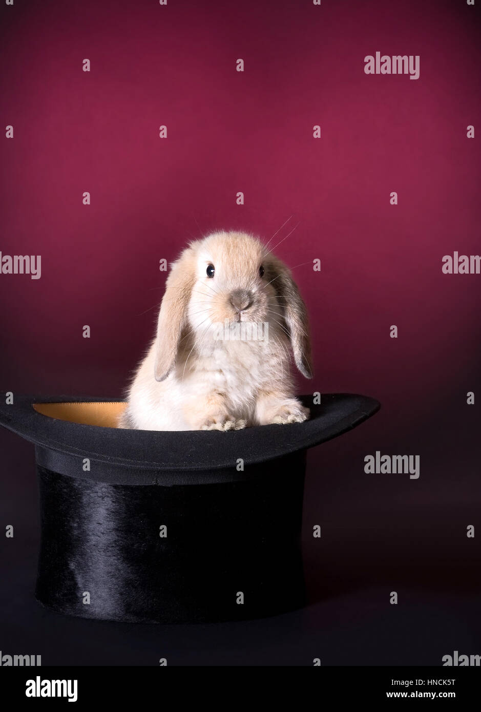 Magicians hat hi-res stock photography and images - Alamy