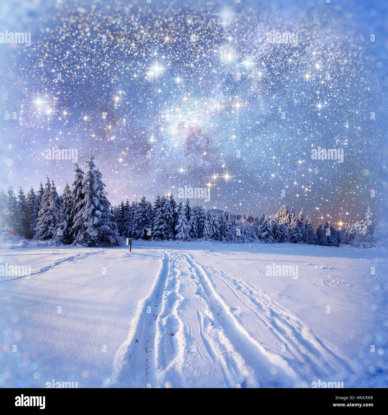 starry sky in winter snowy night Stock Photo - Alamy