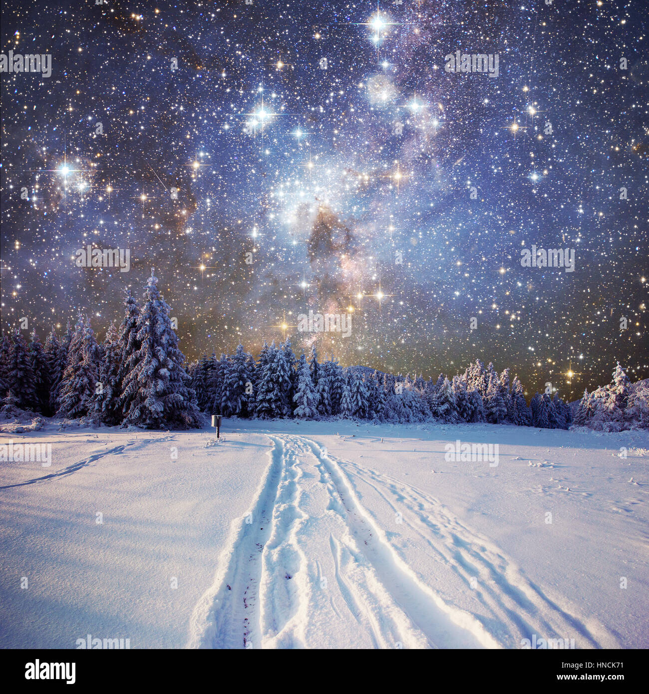 starry sky in winter snowy night Stock Photo - Alamy