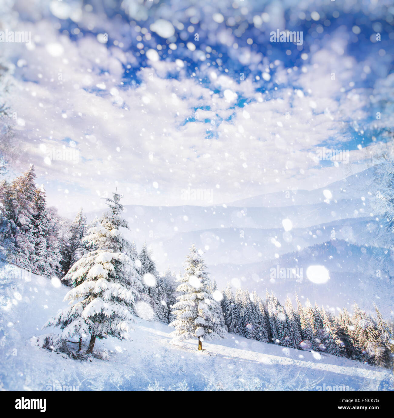 winter landscape trees and fence in hoarfrost, background with s Stock ...