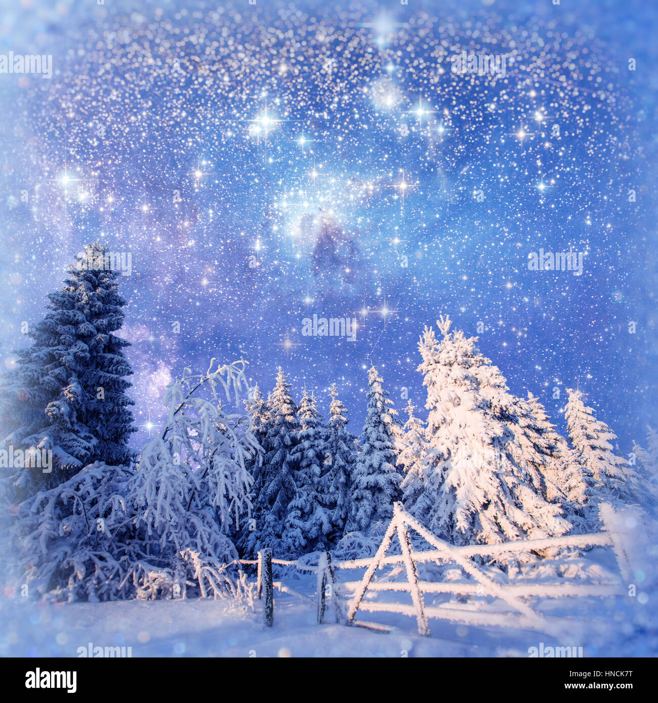 Winter landscape trees and fence in hoarfrost Stock Photo - Alamy