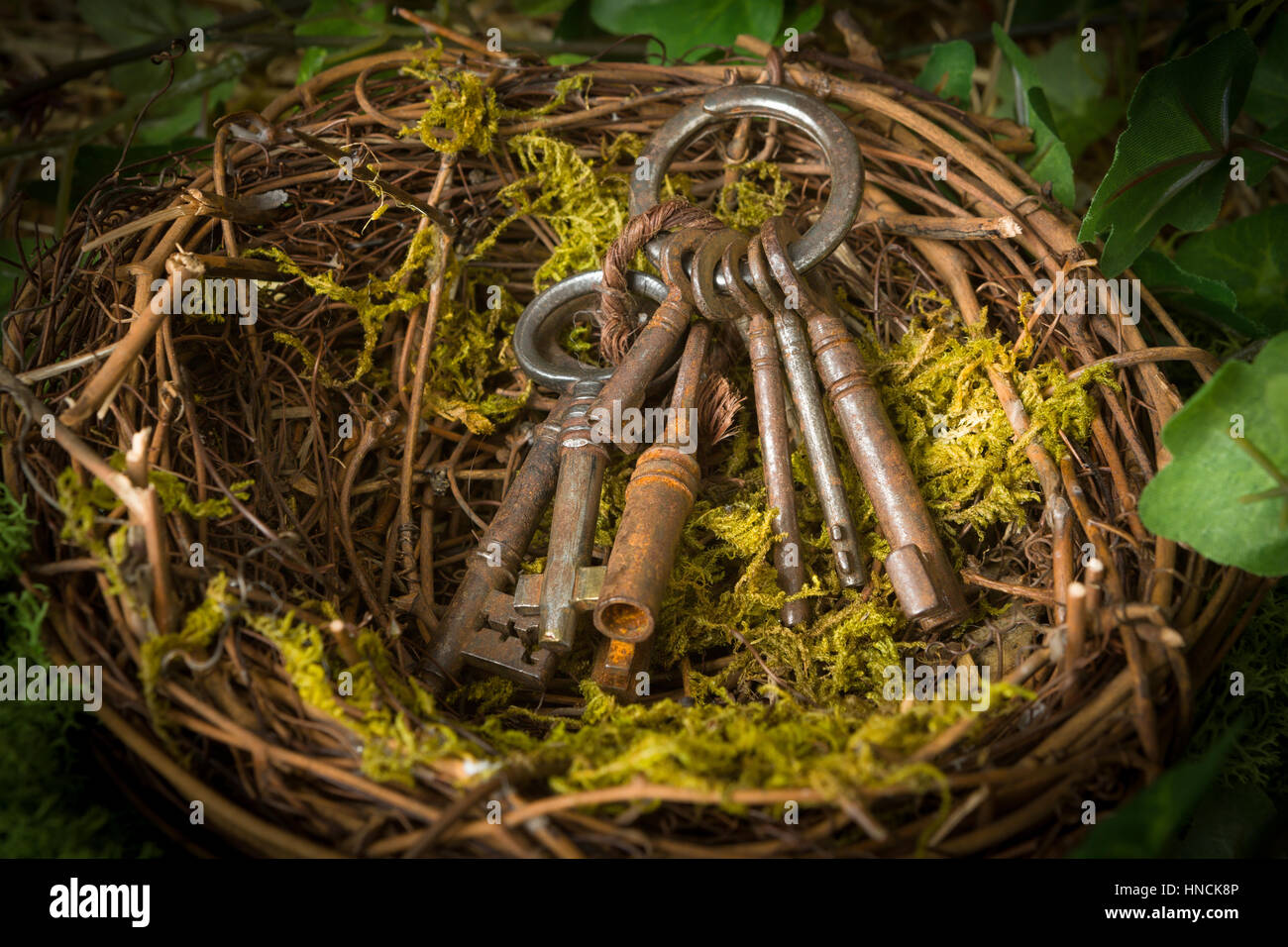 Old rusty keys lying in an abandoned bird's nest Stock Photo - Alamy