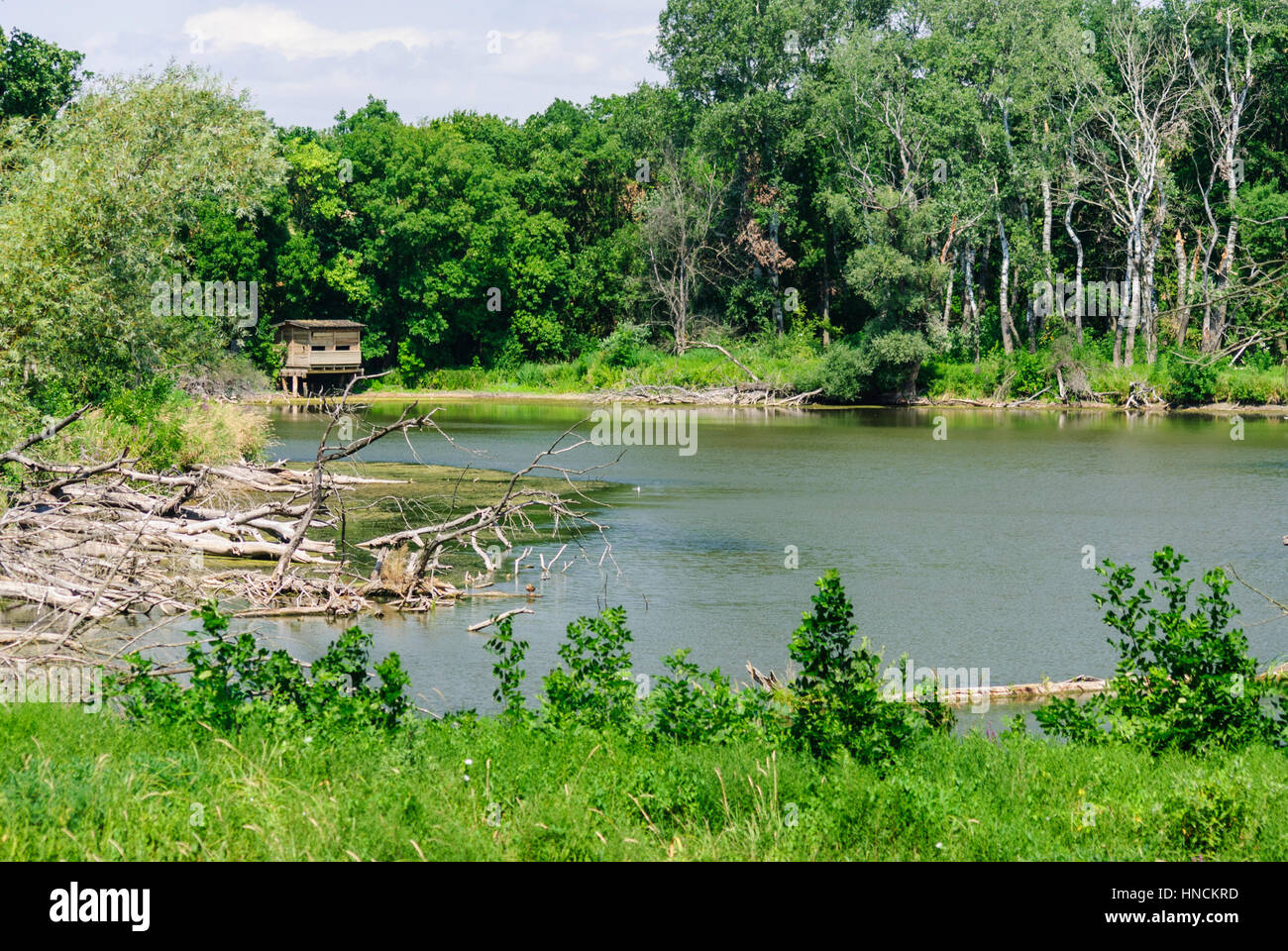 Wwf nature reserve marchegg also nature reserve lower marchauen hi-res ...