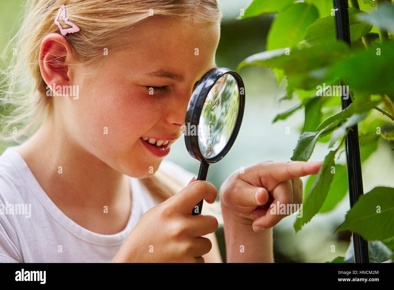 Curious child explores nature and looks at leaf with loupe Stock Photo ...