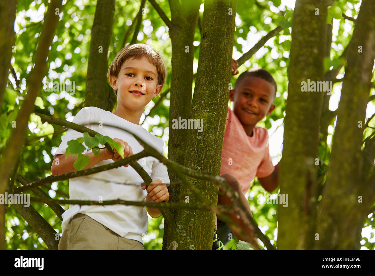 Two boys climbing tree together and having fun adventures Stock Photo ...