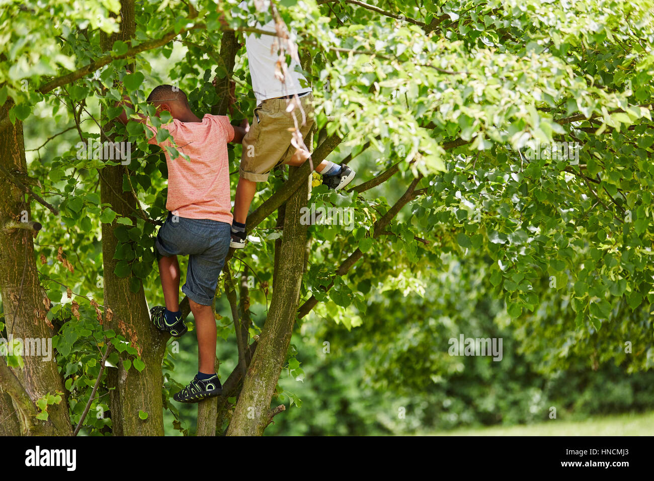 Boys climbing tree boy boy climb tree hi-res stock photography and ...