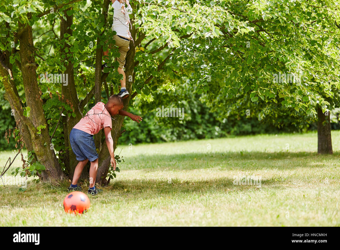 African boy climbing tree hi-res stock photography and images - Alamy