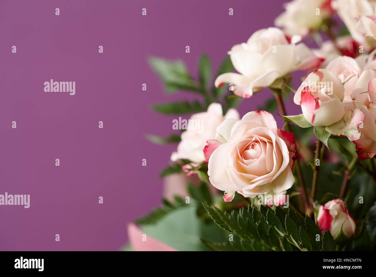 Purple roses bouquet Stock Photo - Alamy