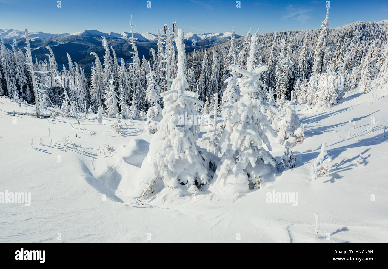 winter landscape trees snowbound Stock Photo - Alamy