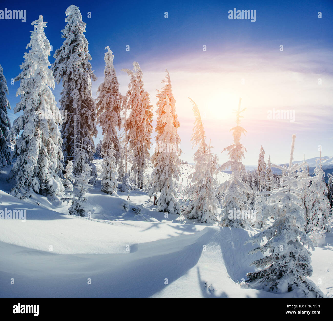 winter landscape trees snowbound Stock Photo - Alamy
