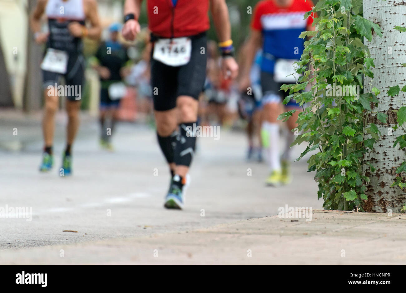Group of marathon runners on the street Stock Photo - Alamy