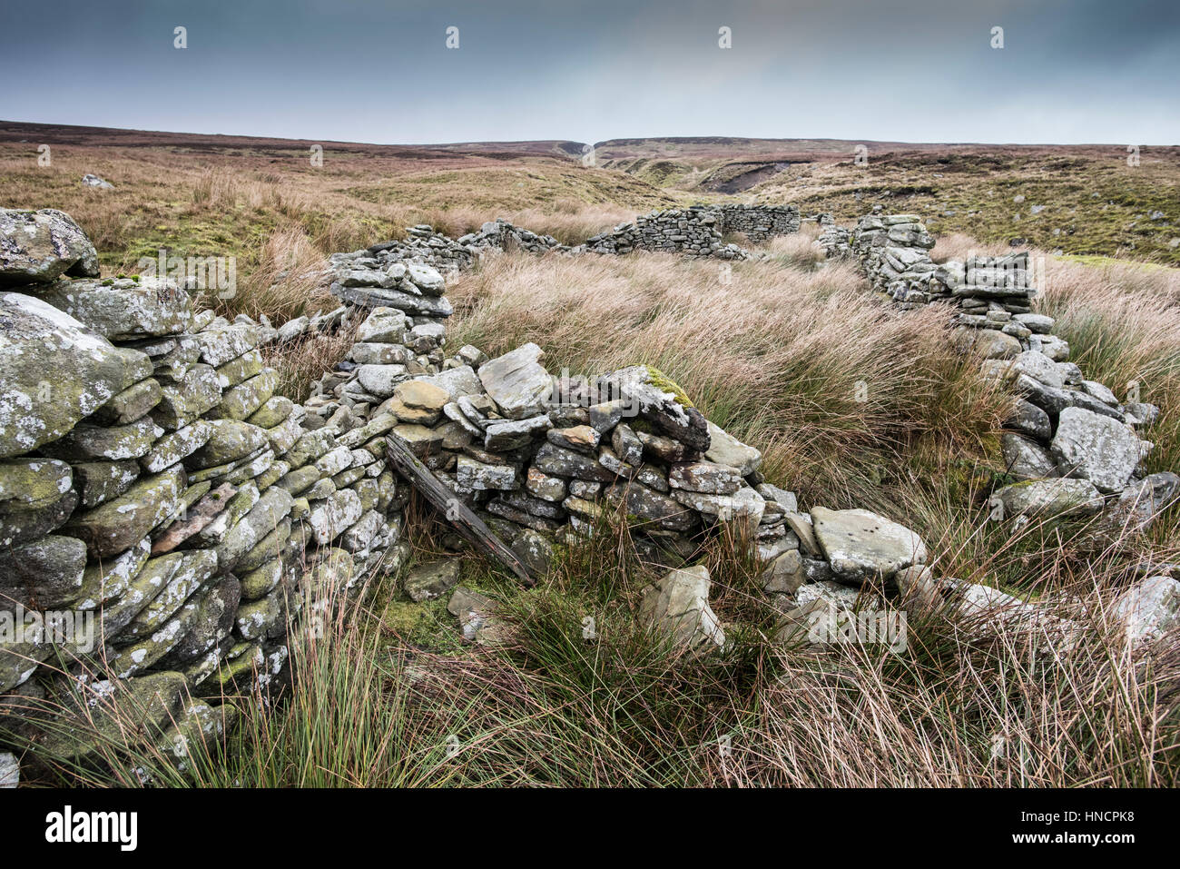 High Abbotside High Resolution Stock Photography and Images - Alamy