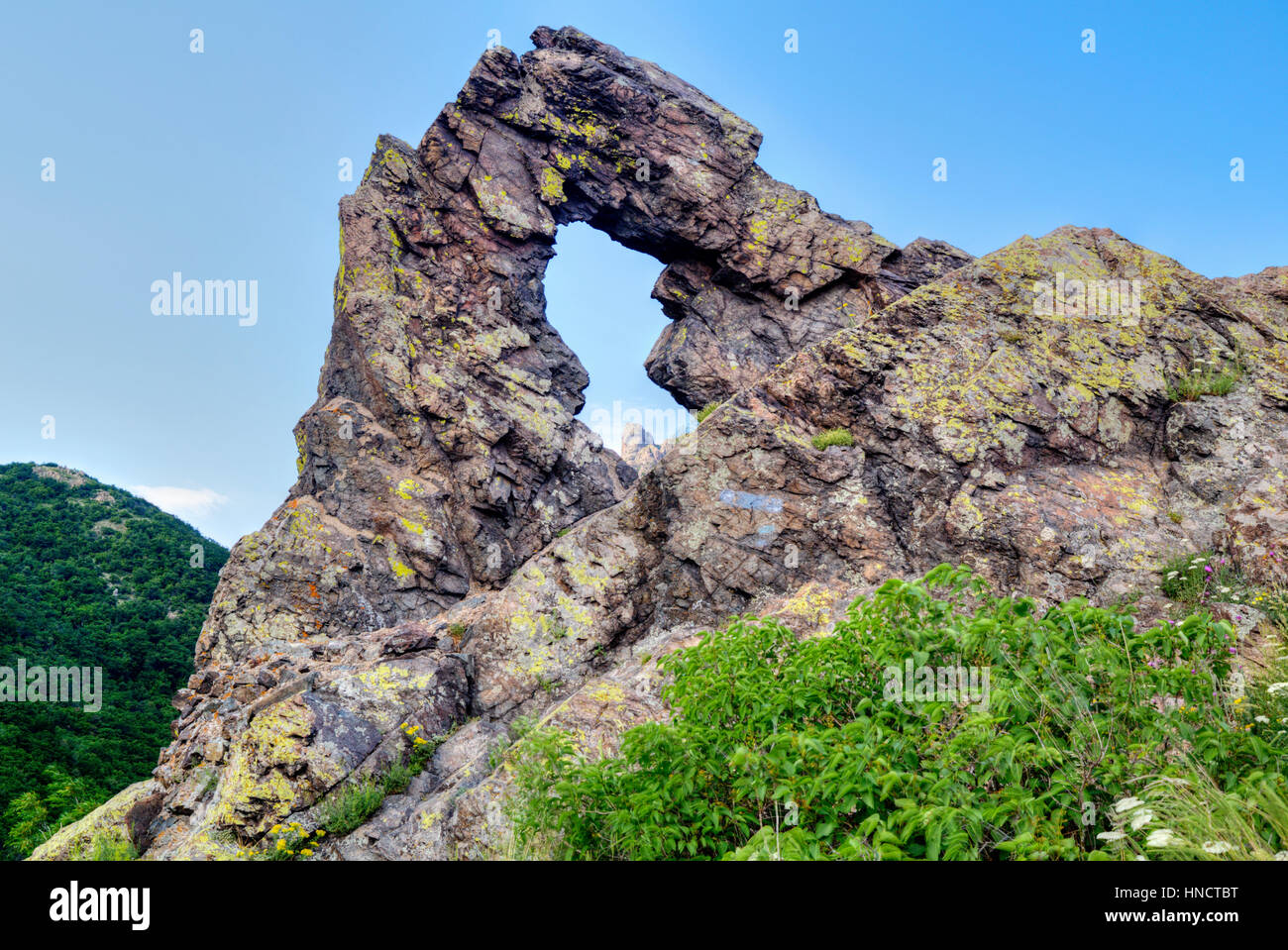 Stone ring phenomenon formation in the mountain Stock Photo - Alamy