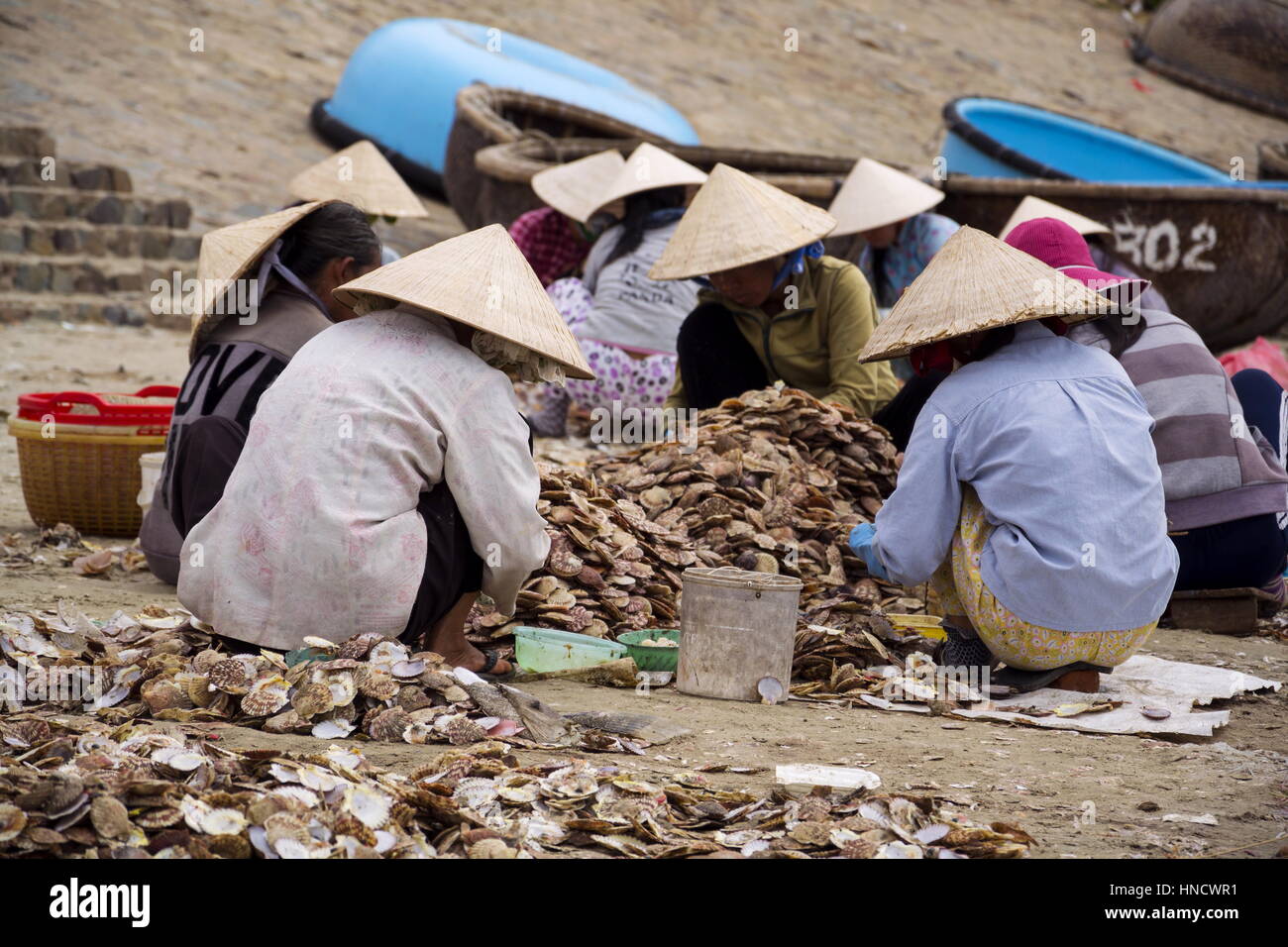 MUI NE, VIETNAM - FEBRUARY 7: Women processing seashells with fishing ...