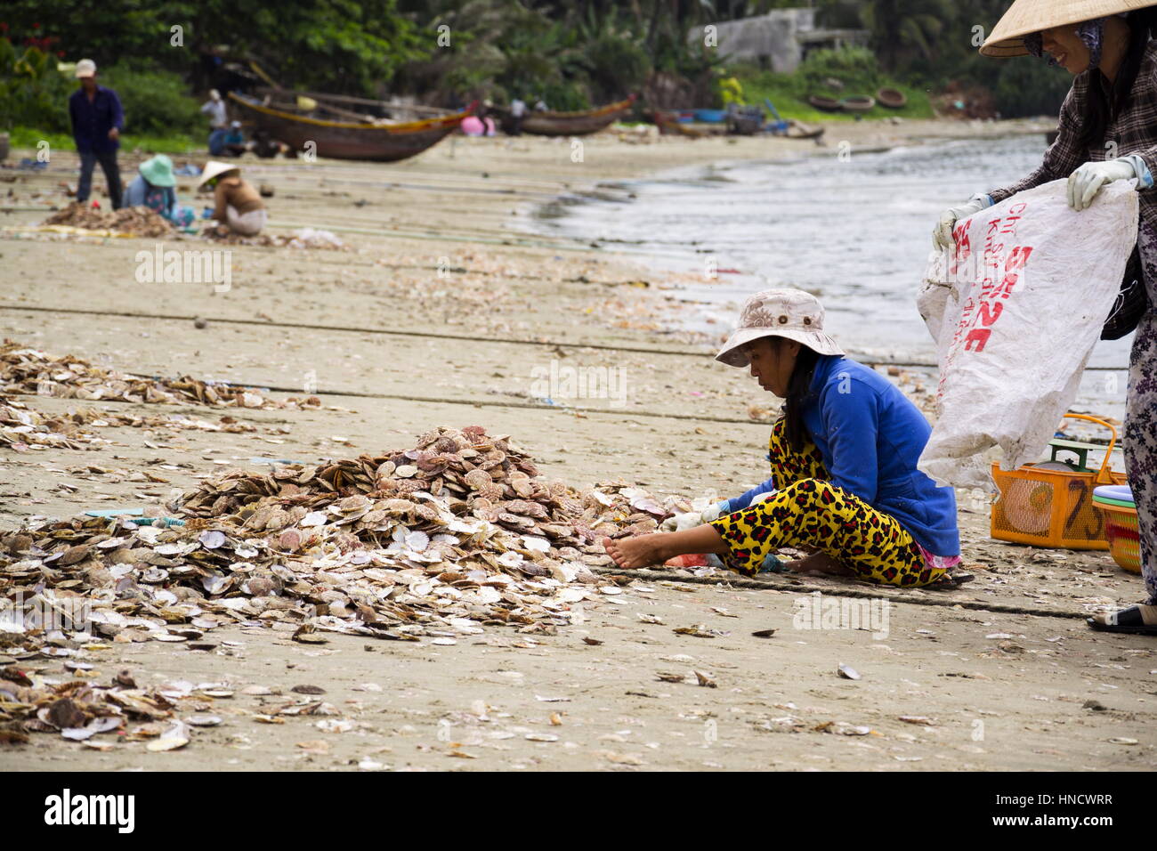 MUI NE, VIETNAM - FEBRUARY 7: Women processing seashells with fishing ...