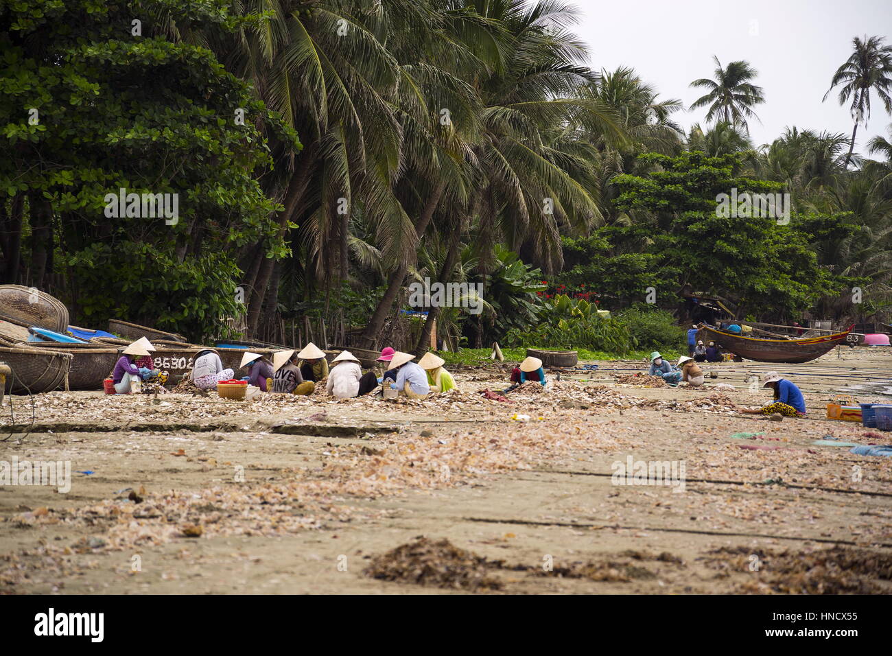 MUI NE, VIETNAM - FEBRUARY 7: Women processing seashells with fishing ...