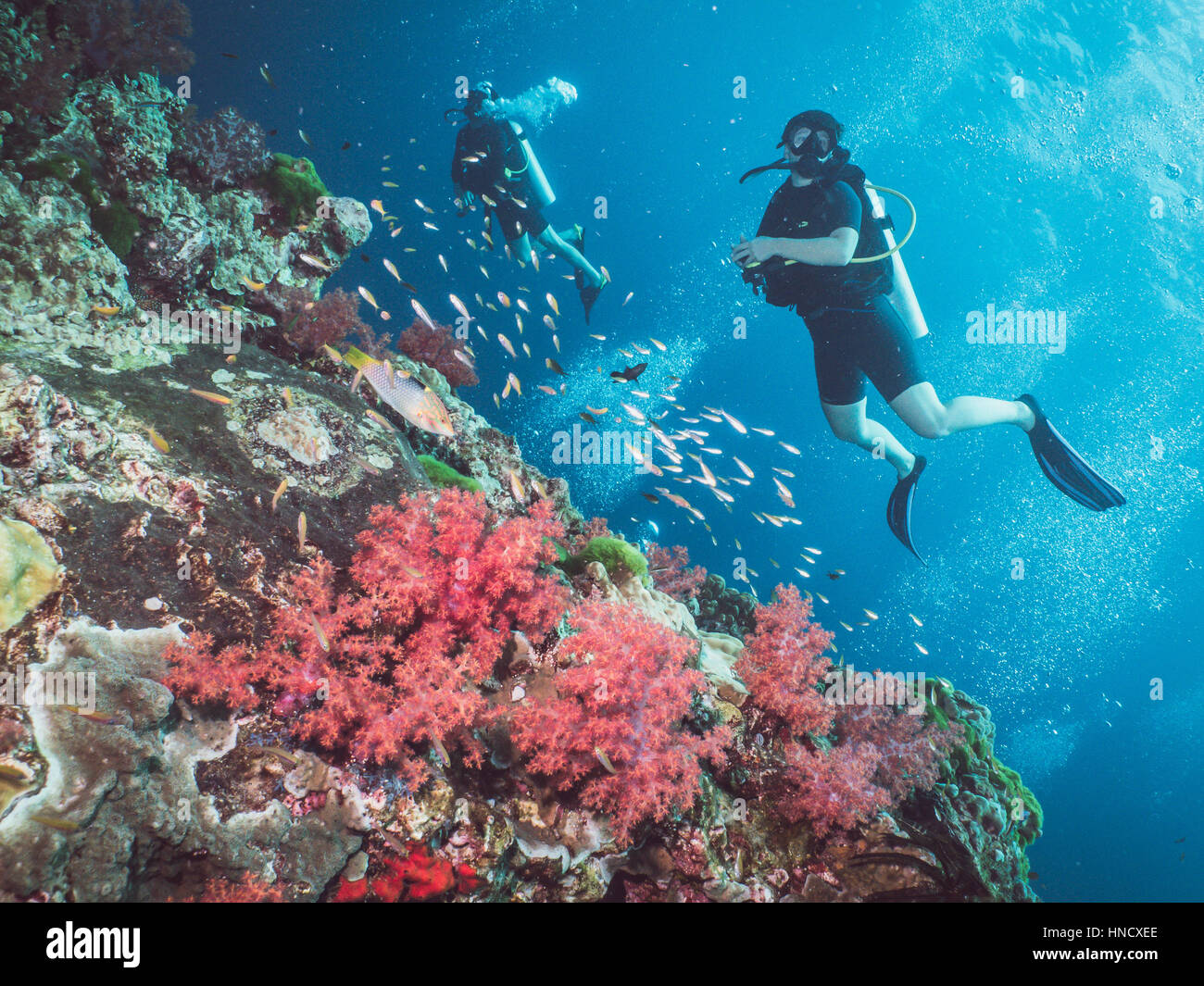 Diving around Koh Lanta in south of Thailand Stock Photo - Alamy