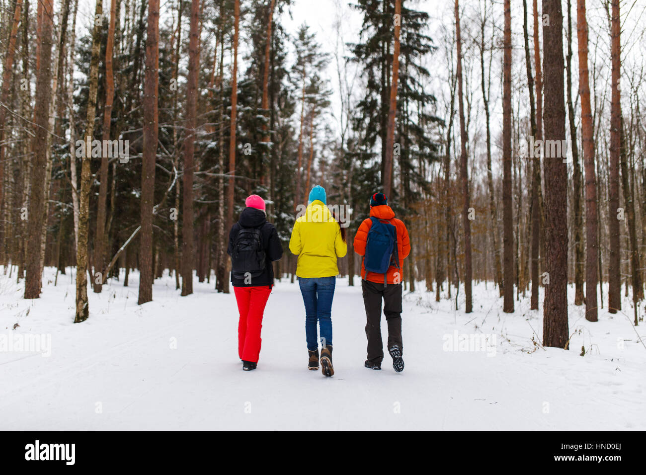 Athletes go in scenic winter park at day Stock Photo - Alamy