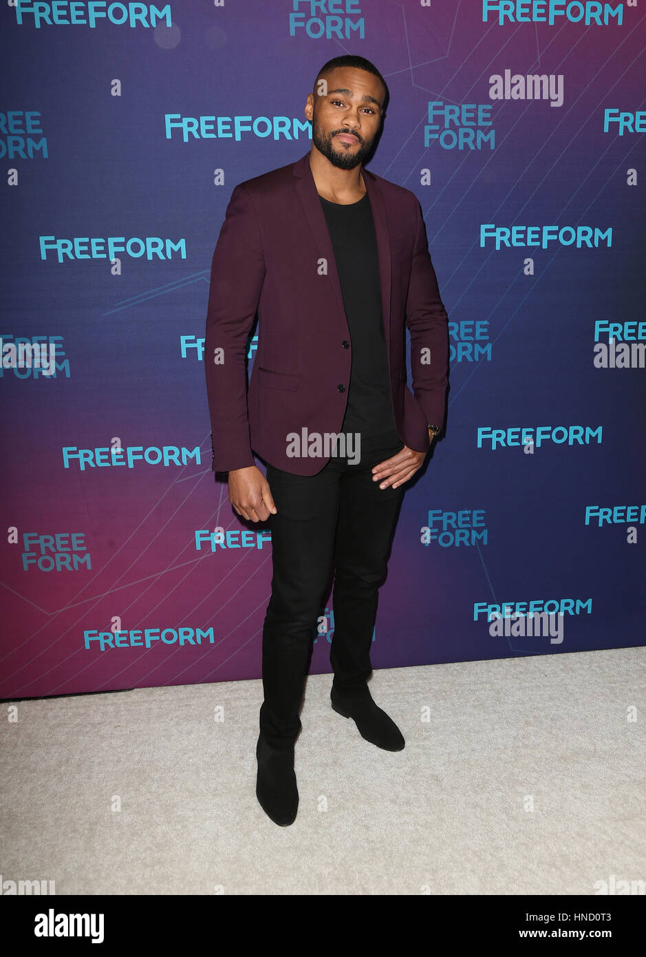 Disney/ABC TV TCA Winter 2017 Party at Langham Hotel - Arrivals ...