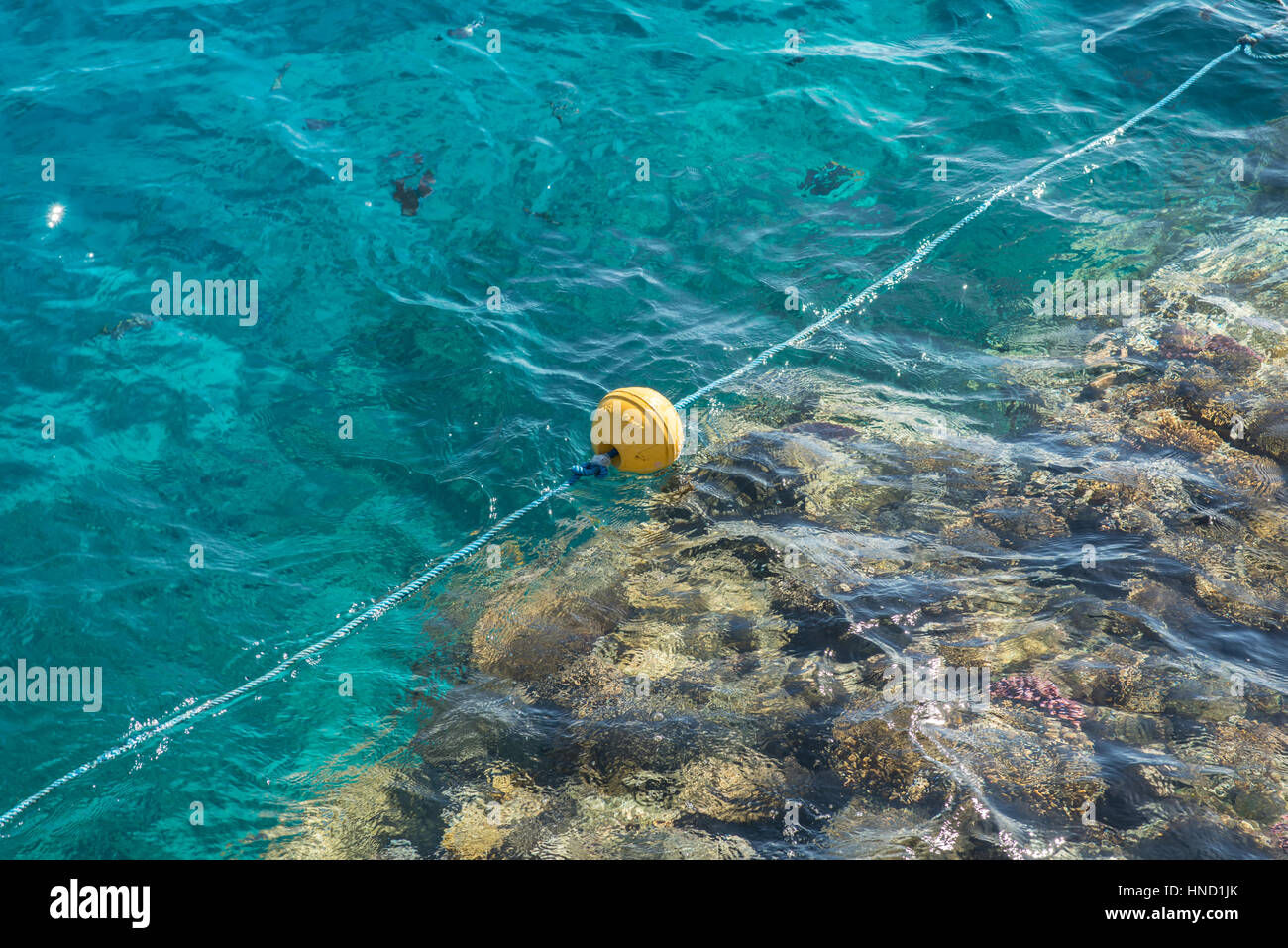 buoys in the sea Stock Photo - Alamy