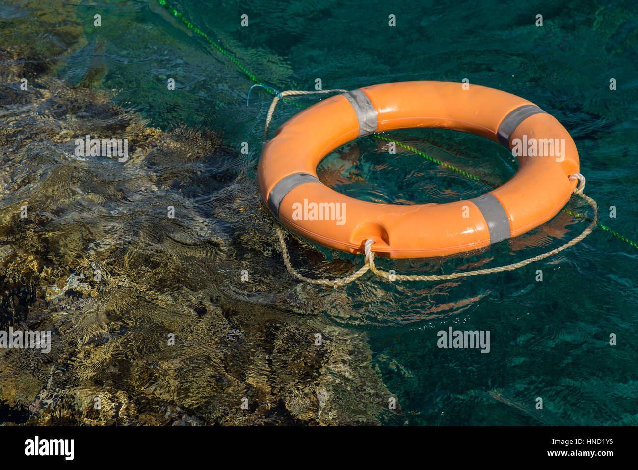 lifeline in the red sea near coral reef Stock Photo - Alamy