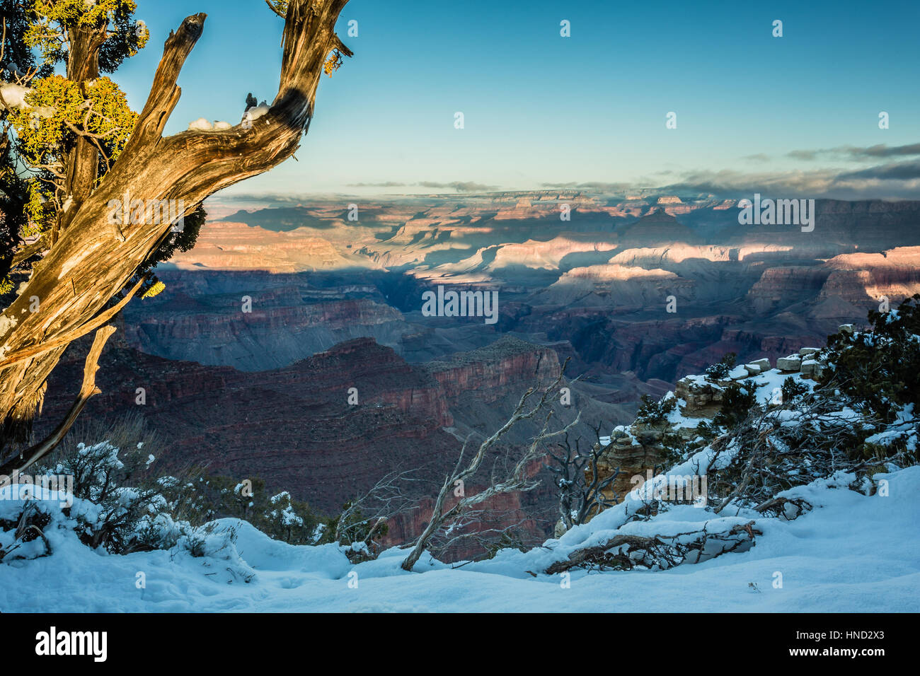 The Wintery rim of Moran Point looks out over the Grand Canyon at ...