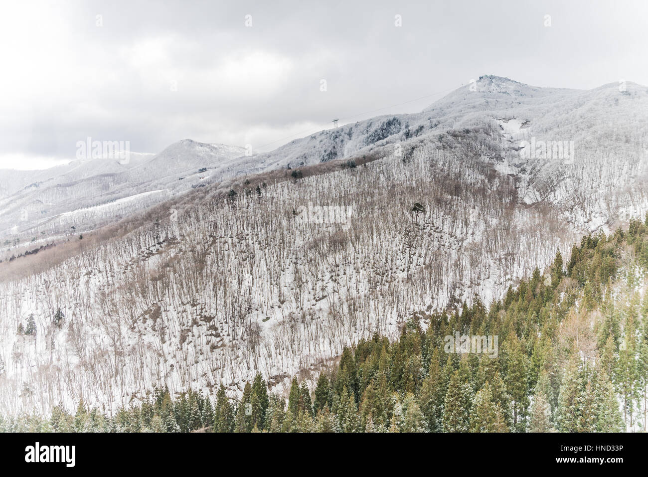 Winter landscape in the Mount Zao that located on the Yamagata-Miyagi ...