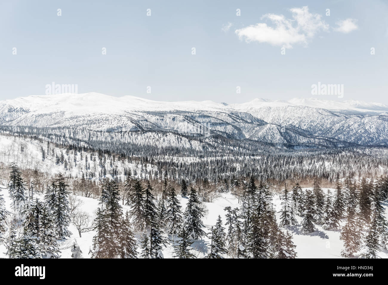 Winter landscape in the Mount Zao that located on the Yamagata-Miyagi ...