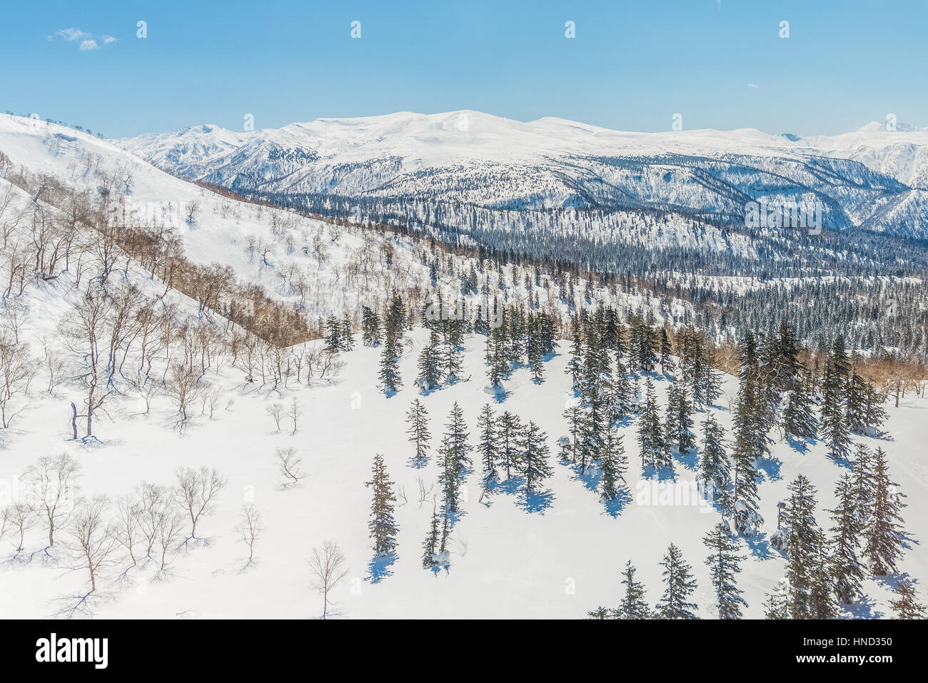 Winter landscape in the Mount Zao that located on the Yamagata-Miyagi ...