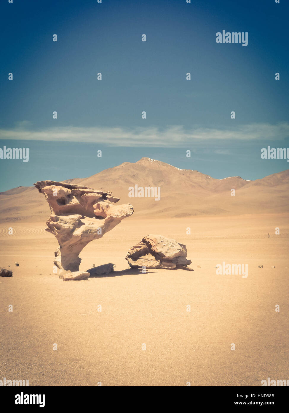 Salar de Uyuni Bolivia Arbol de Piedra in altiplano rock Formation ...