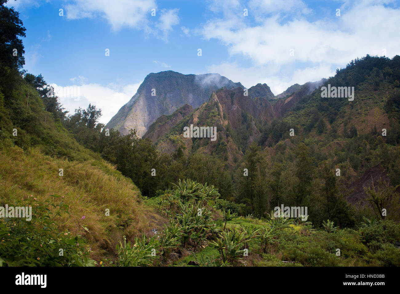 La Reunion Island Tropical rain forest mountains and waterfalls ...