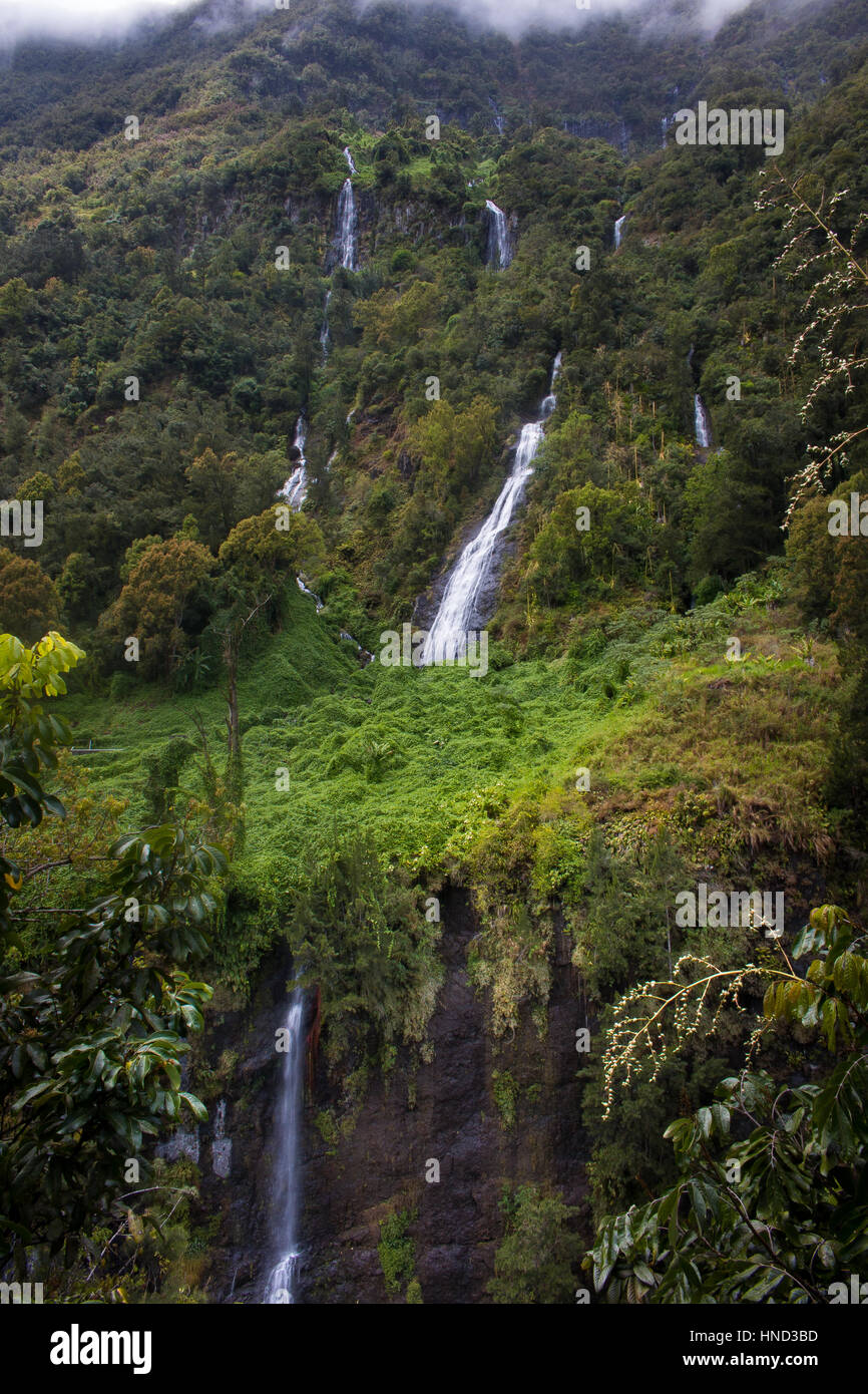 La Reunion Island Tropical rain forest mountains and waterfalls ...