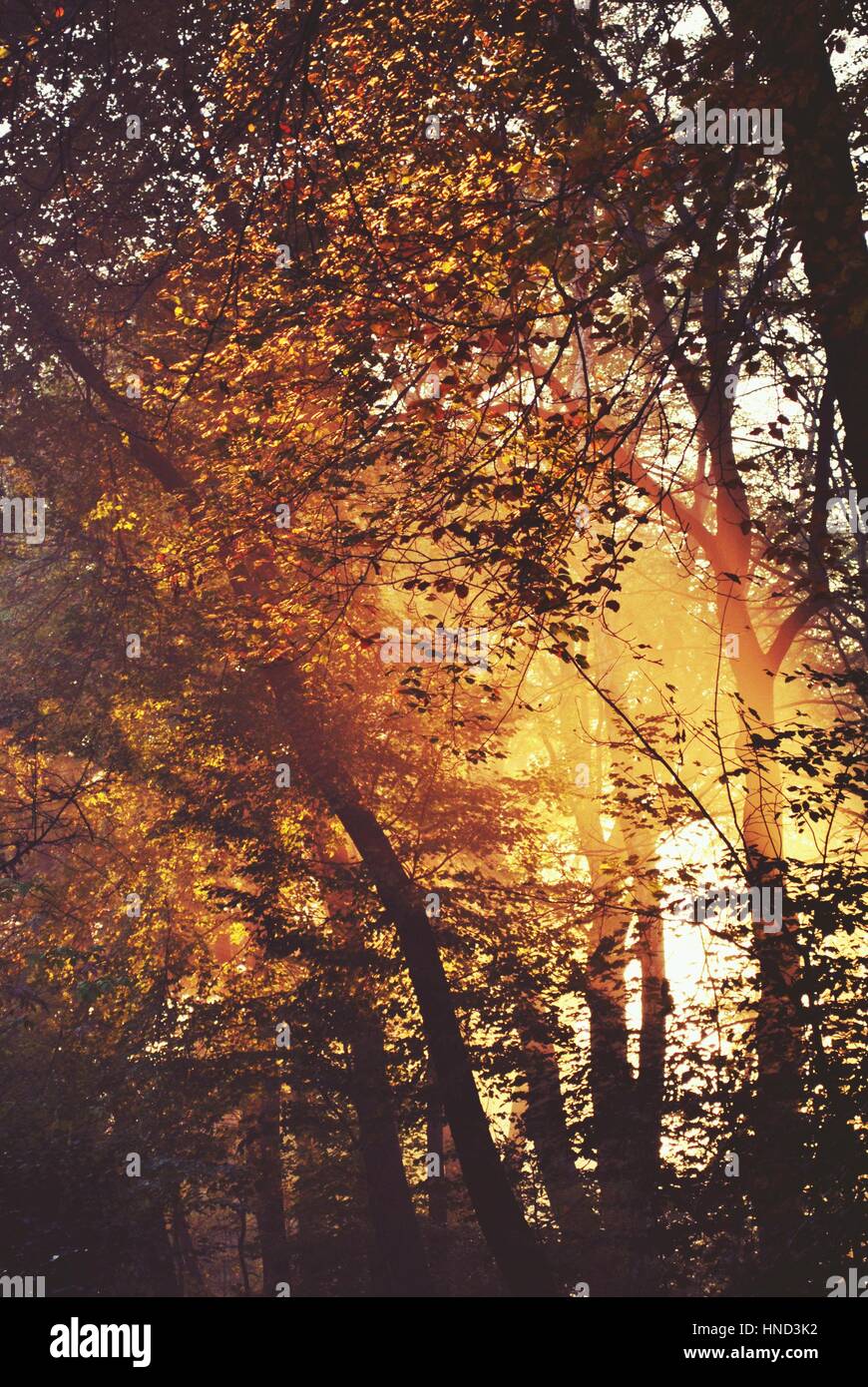 Beautiful view sunlights hi-res stock photography and images - Alamy