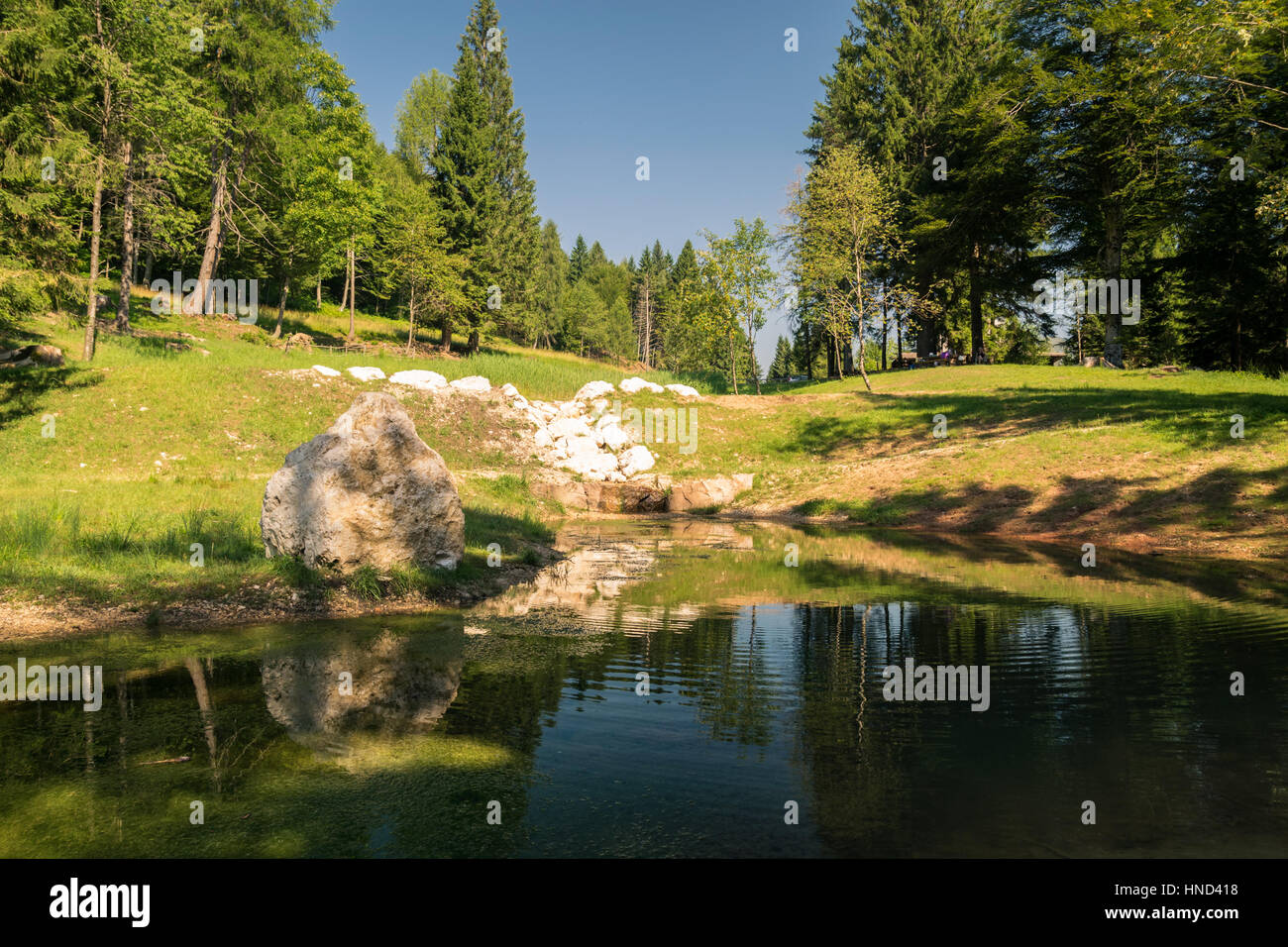 Small pond in the woods of the Italian Alps Stock Photo - Alamy