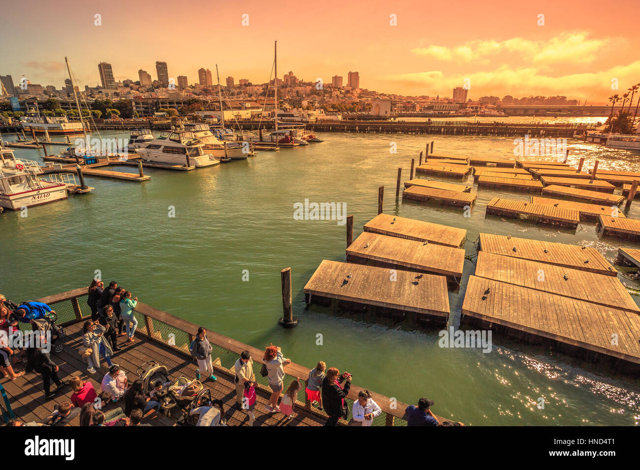 Aerial View Of Pier 39 High Resolution Stock Photography and Images - Alamy