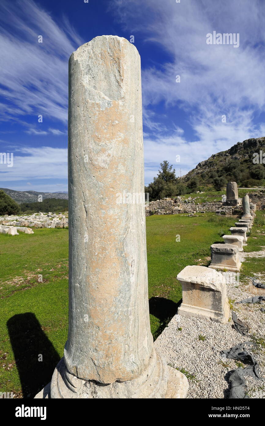 Ruins of the agora. Standing column at its S.E.corner and the Inscribed ...