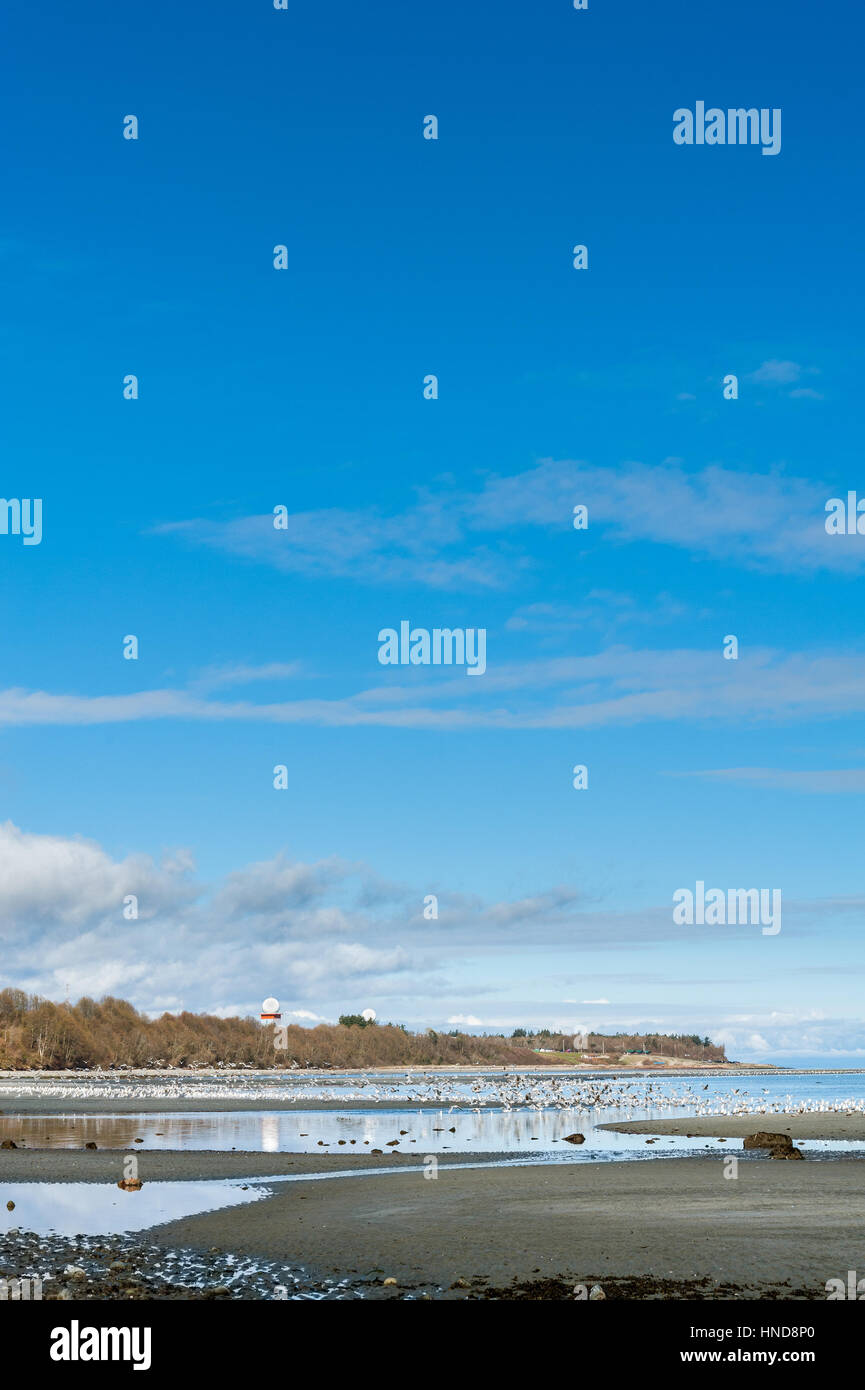 Kye bay british columbia hi-res stock photography and images - Alamy