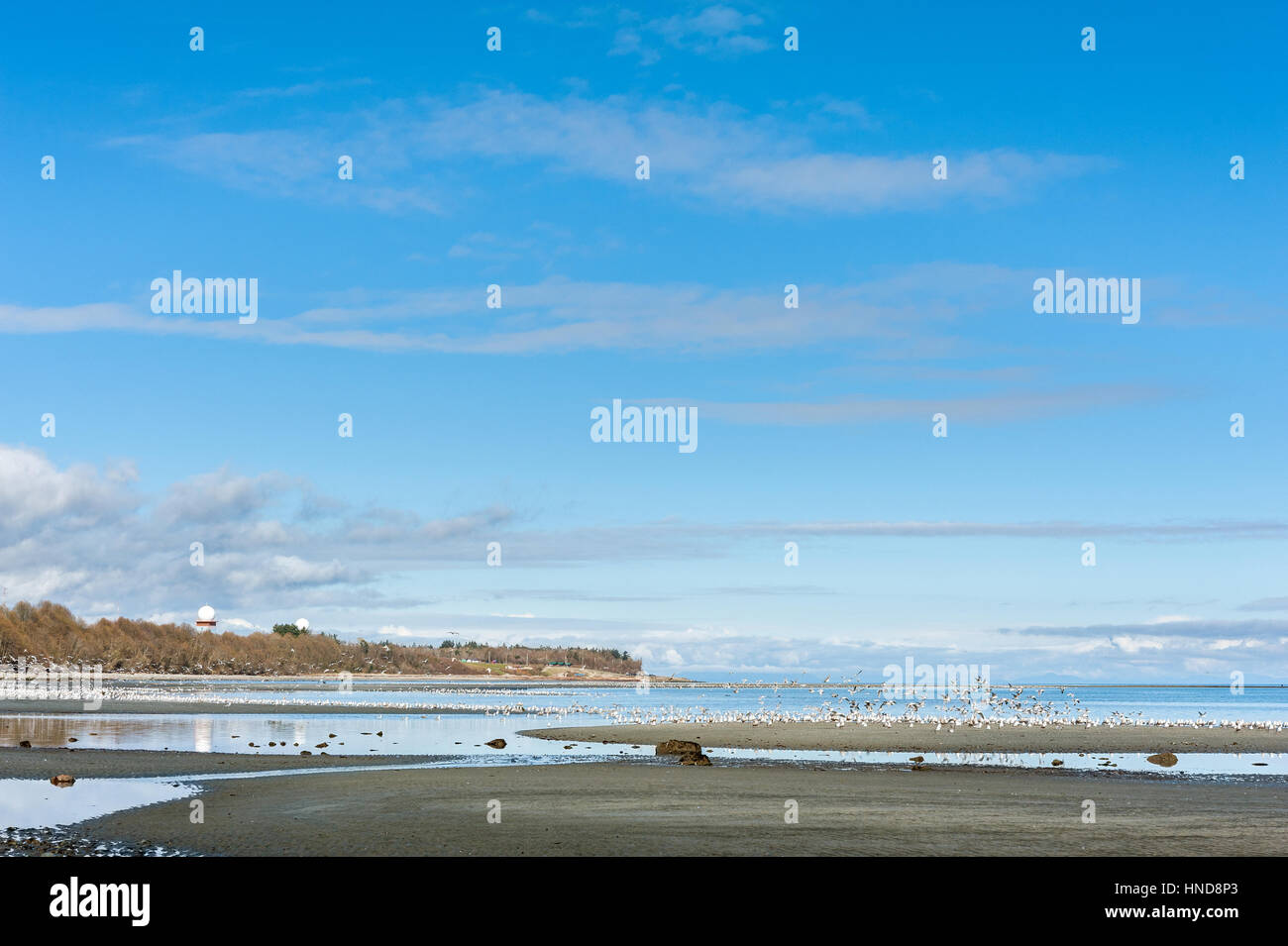British columbia beach sunny hi-res stock photography and images - Alamy